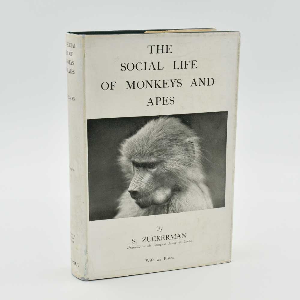 ZUCKERMAN, Solly. The Social Life of Monkeys and Apes. – Sotherans