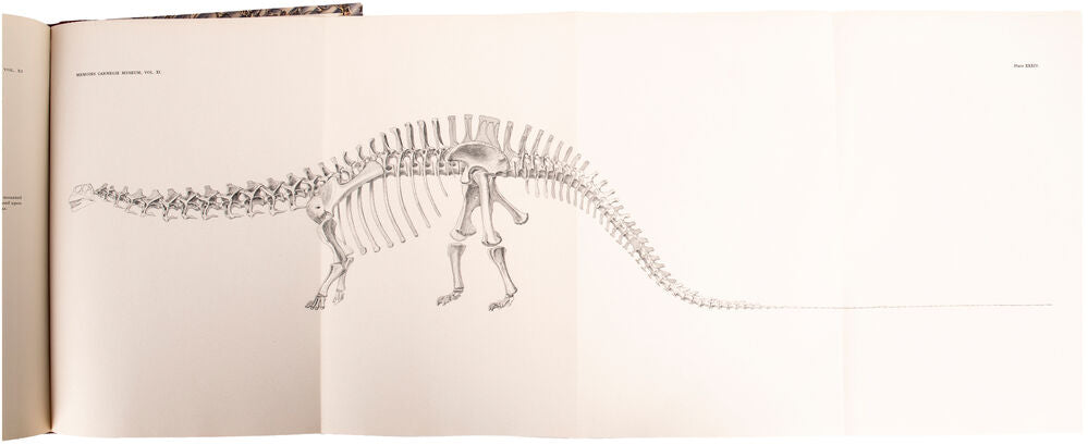 GILMORE, Charles W. Osteology of Apatosaurus, with special reference ...
